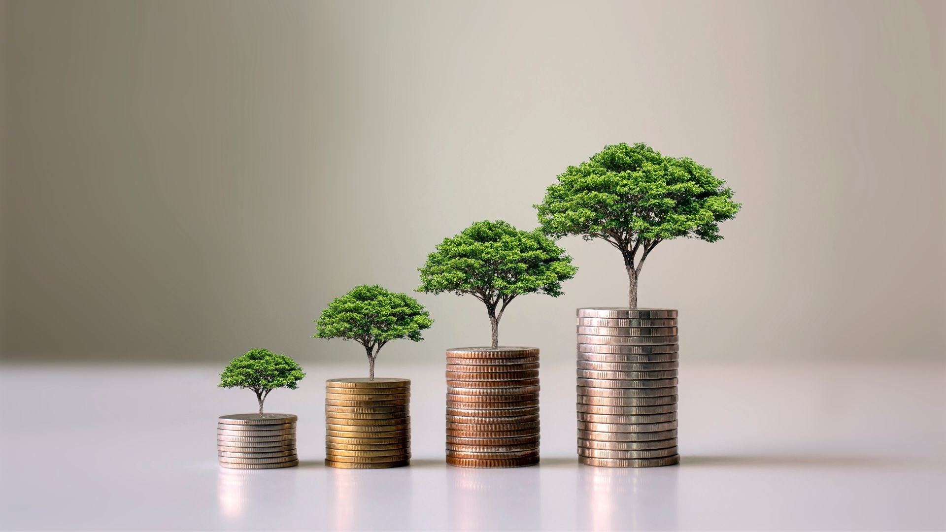 Where Companies Should Invest to Do CSR – Liberty Society